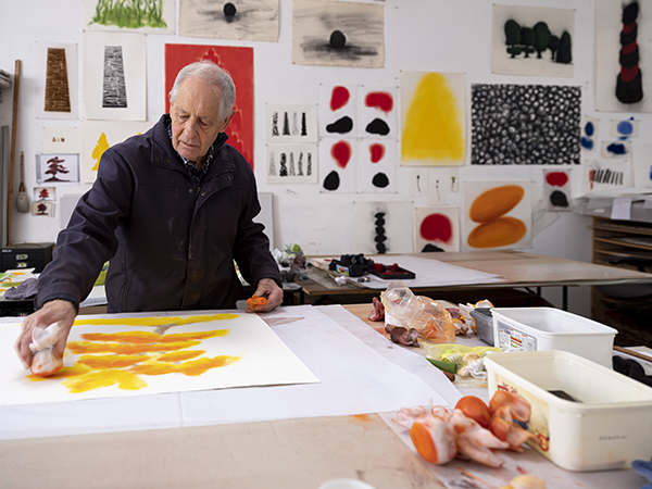 David Nash: ‘Seeing Trees’ exhibition at Oriel Môn