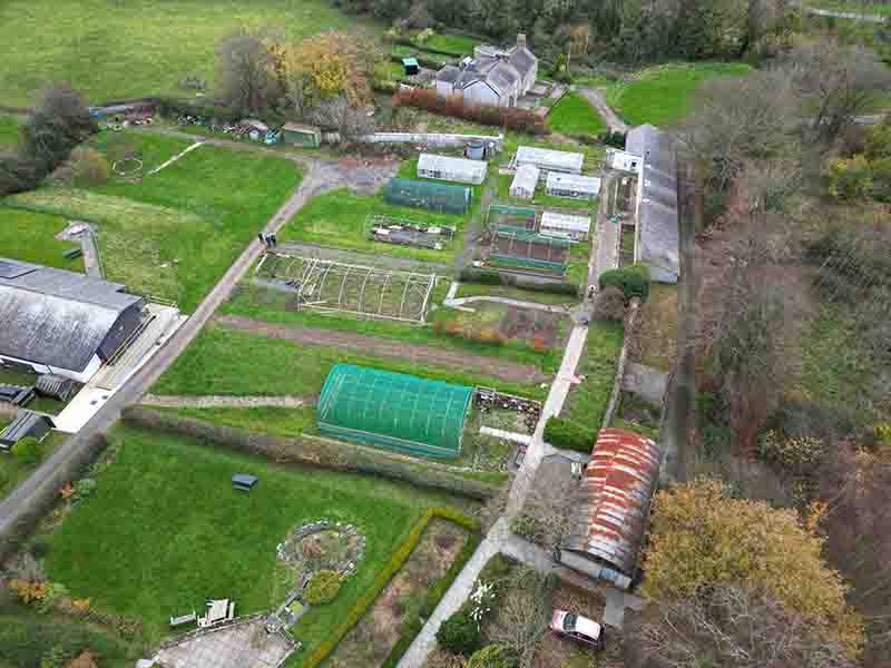 Thousands of trees to be planted to boost Anglesey’s net zero aim