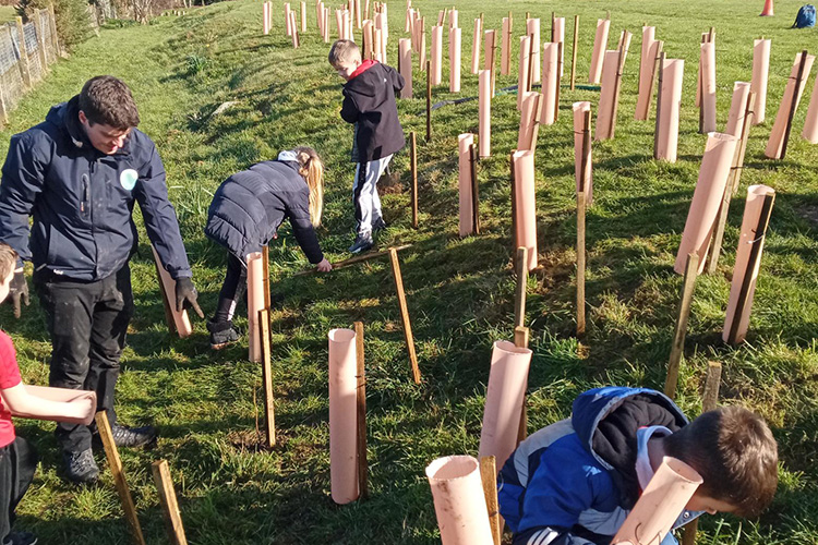 Innovative project sees 4,000 trees planted to help tackle climate change