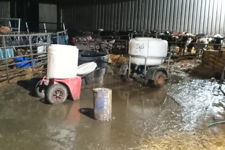 Farmer sentenced for causing unnecessary suffering