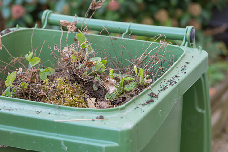 Annual green waste fee agreed by Executive